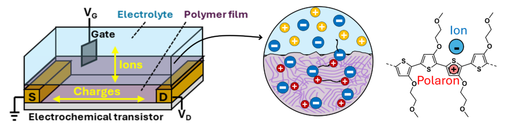 Mixed Ionic-Electronic Conducting Polymers - Grieco Lab
